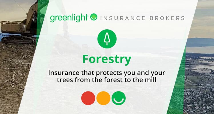 Forestry Insurance Brokers | Greenlight Insurance Brokers